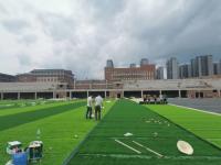 China Advanced Weaving Technique Synthetic Grass Field With Disease Resistant Yarn for sale