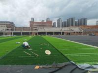 China Advanced Weaving Technique Synthetic Grass Field With Disease Resistant Yarn for sale