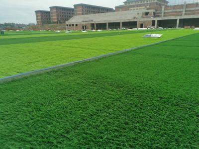 China Advanced Weaving Technique Synthetic Grass Field With Disease Resistant Yarn for sale