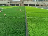China Advanced Weaving Technique Synthetic Grass Field With Disease Resistant Yarn for sale