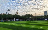 China Artificial Turf Football Field With Advanced Weaving Technique for sale
