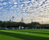 China Artificial Turf Football Field With Advanced Weaving Technique for sale
