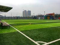 China Stem Shape Weaving Technique Artificial Grass with Effective Drainage System for sale
