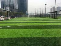 China Stem Shape Weaving Technique Artificial Grass with Effective Drainage System for sale