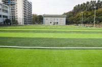 China China Stem Shape Artificial Football Pitches With 16.5 Stitches For Efficient Drainage System for sale