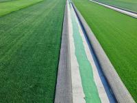 China China Stem Shape Artificial Football Pitches With 16.5 Stitches For Efficient Drainage System for sale