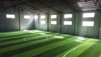 China China Manufactured M Shape Artificial Football Turfs With Multiple Price Options for sale