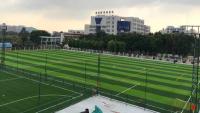 China China Manufactured M Shape Artificial Football Turfs With Multiple Price Options for sale