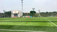 China China Manufactured M Shape Artificial Football Turfs With Multiple Price Options for sale