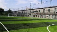 China Durable Artificial Grass Mats Synthetic Turf 50mm Pile Height Effective Drainage System for sale