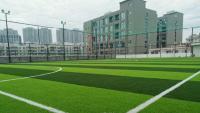 China 50mm M Shape Artificial Football Turf With 16.5 Stitches Exceptional Drainage System for sale