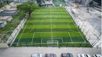 China Durable and UV Resistant Premium Artificial Grass for Football Fields for sale