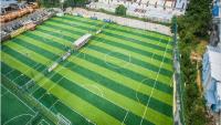 China 50mm M Shape Artificial Football Turf With 16.5 Stitches Exceptional Drainage System for sale