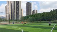 China Disease Resistant M Shape Artificial Turf Artificial Grass Rug 50mm Pile Height 8000-15000 Dtex for sale