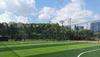 China Disease Resistant M Shape Artificial Turf Artificial Grass Rug 50mm Pile Height 8000-15000 Dtex for sale