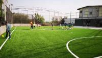 China Artificial Football Pitches With M Shape Yarn 50mm Pile Height Quartz Sand Infill for sale