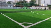 China Artificial Football Pitches With M Shape Yarn 50mm Pile Height Quartz Sand Infill for sale