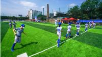China Artificial Football Pitches With M Shape Yarn 50mm Pile Height Quartz Sand Infill for sale