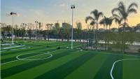 China Rubber Granules / Quartz Sand Artifical Football Pitches Weaving Technique Dtex 8000-15000 for sale