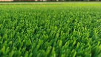 China Rubber Granules / Quartz Sand Artifical Football Pitches Weaving Technique Dtex 8000-15000 for sale