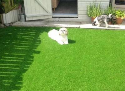 China 18 Stitches 12000DTex PP Net PU Backing Artificial Grass Turf With Superior Drainage Capacity for sale