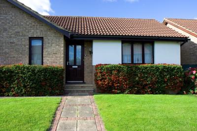China Natural Color Lawn Comfortable UV Resistant Turf For Landscaping Projects for sale