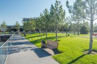 China High Density And Tufted Artificial Turf C Shape Good Quality Synthetic Turf for sale