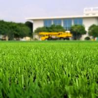 China Durable and UV Resistant Premium Artificial Grass for Football Fields for sale