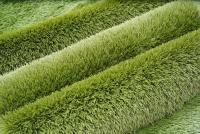 China Weather Resistant Realistic Synthetic Turf for Soccer Stadiums High Performance Natural Looking Artificial Football Grass for sale