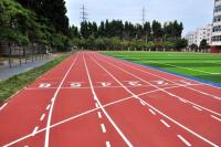 China Professional IAAF Certified 13mm Prefabricated Rubber Running Track - No Pour System with Installation Service for sale