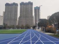 China All-Weather Synthetic Running Track - Prefabricated Rubber Rolls with 10-Year Warranty for sale