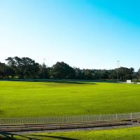 China FIFA Certified Artificial Football Turf with 8 Years Lifetime and 3/8 Inch Gauge for Professional Soccer Fields for sale