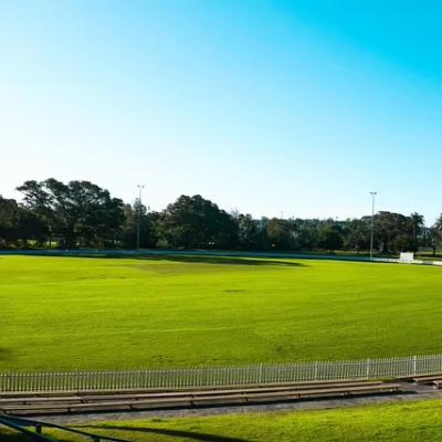 China FIFA Certified Artificial Football Turf with 8 Years Lifetime and 3/8 Inch Gauge for Professional Soccer Fields for sale