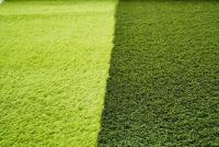 China High-Density 16800 Artificial Football Grass with 8-Year Lifespan and ISO9001 Certification for Professional Soccer Fields for sale