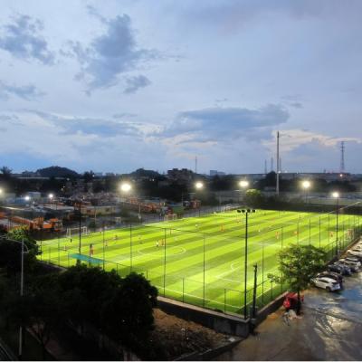 China Shock Absorbing Artificial Soccer Lawn with 40-60mm Pile Height and 8 Years Life Time for Training Areas for sale