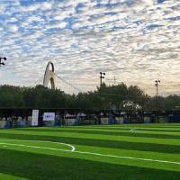 China Shock Absorbing Artificial Soccer Lawn with 40-60mm Pile Height and 8 Years Life Time for Training Areas for sale