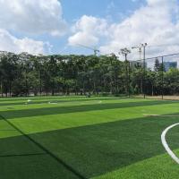 China High-Density PE Material Artificial Soccer Lawn with 40-60mm Pile Height and 8 Years Service Life for sale