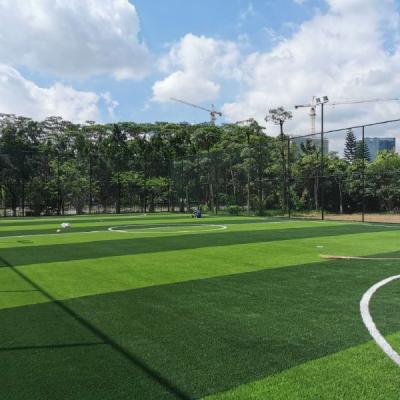China High-Density PE Material Artificial Soccer Lawn with 40-60mm Pile Height and 8 Years Service Life for sale