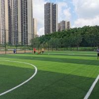 China High-Density PE Material Artificial Soccer Lawn with 40-60mm Pile Height and 8 Years Service Life for sale
