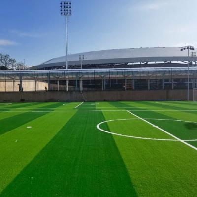 China Premium 10000 Dtex Artificial Soccer Grass with 10-Year Warranty and 3/8 Inch Gauge for Professional Fields for sale