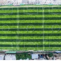 China Premium 10000 Dtex Artificial Soccer Grass with 10-Year Warranty and 3/8 Inch Gauge for Professional Fields for sale