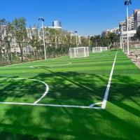 China Realistic Looking Artificial Soccer Grass with 10 Years Life Time and 12600 Density for Professional Soccer Pitch for sale