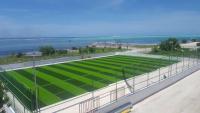 China 50mm Pile Height Artificial Grass with Easy Installation Soft Touch and High Tenacity for Football Fields for sale