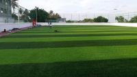 China 50mm Pile Height Artificial Grass with Easy Installation Soft Touch and High Tenacity for Football Fields for sale