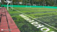 China 50mm Pile Height Artificial Grass with Easy Installation Soft Touch and High Tenacity for Football Fields for sale