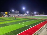 China High-Quality Synthetic Football Turf with Perforated Backing Fire Resistance and Anti-Slip Surface for Professional Fields for sale
