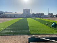 China High-Quality Synthetic Football Turf with Perforated Backing Fire Resistance and Anti-Slip Surface for Professional Fields for sale