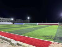 China High-Quality Synthetic Football Turf with Perforated Backing Fire Resistance and Anti-Slip Surface for Professional Fields for sale