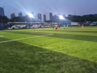 China Professional Grade Artificial Soccer Pitch with 8-Year Lifespan and High Density Synthetic Football Turf for sale