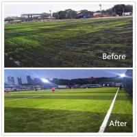 China Professional Grade Artificial Soccer Pitch with 8-Year Lifespan and High Density Synthetic Football Turf for sale